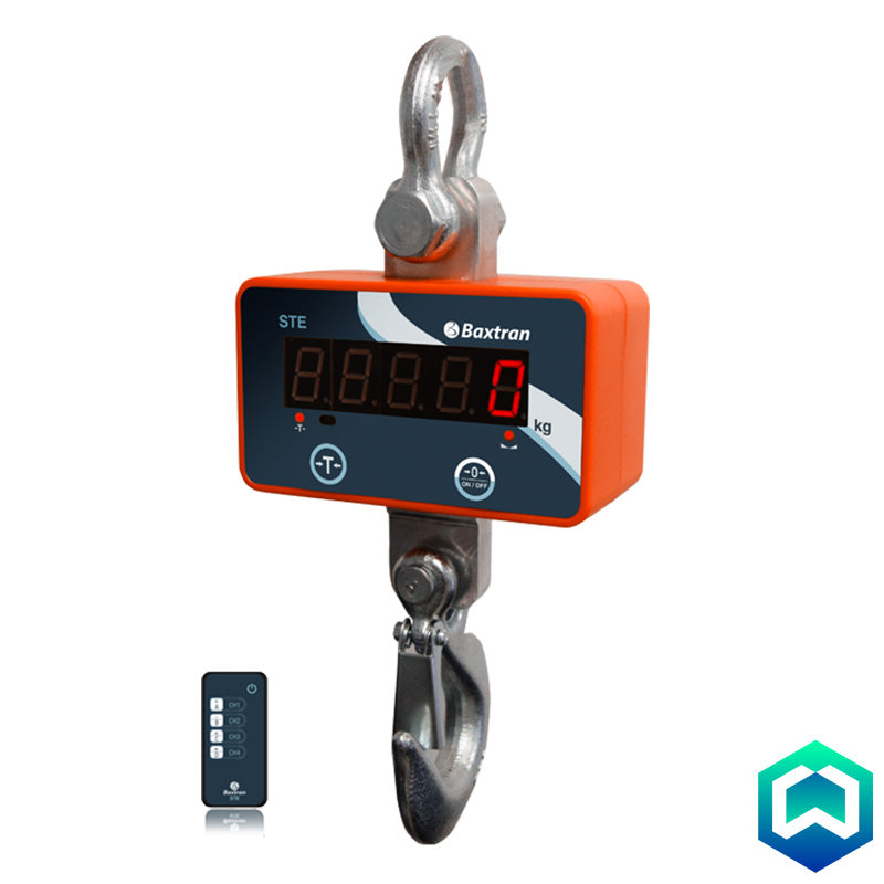 Baxtran STE Crane Scale – Womag